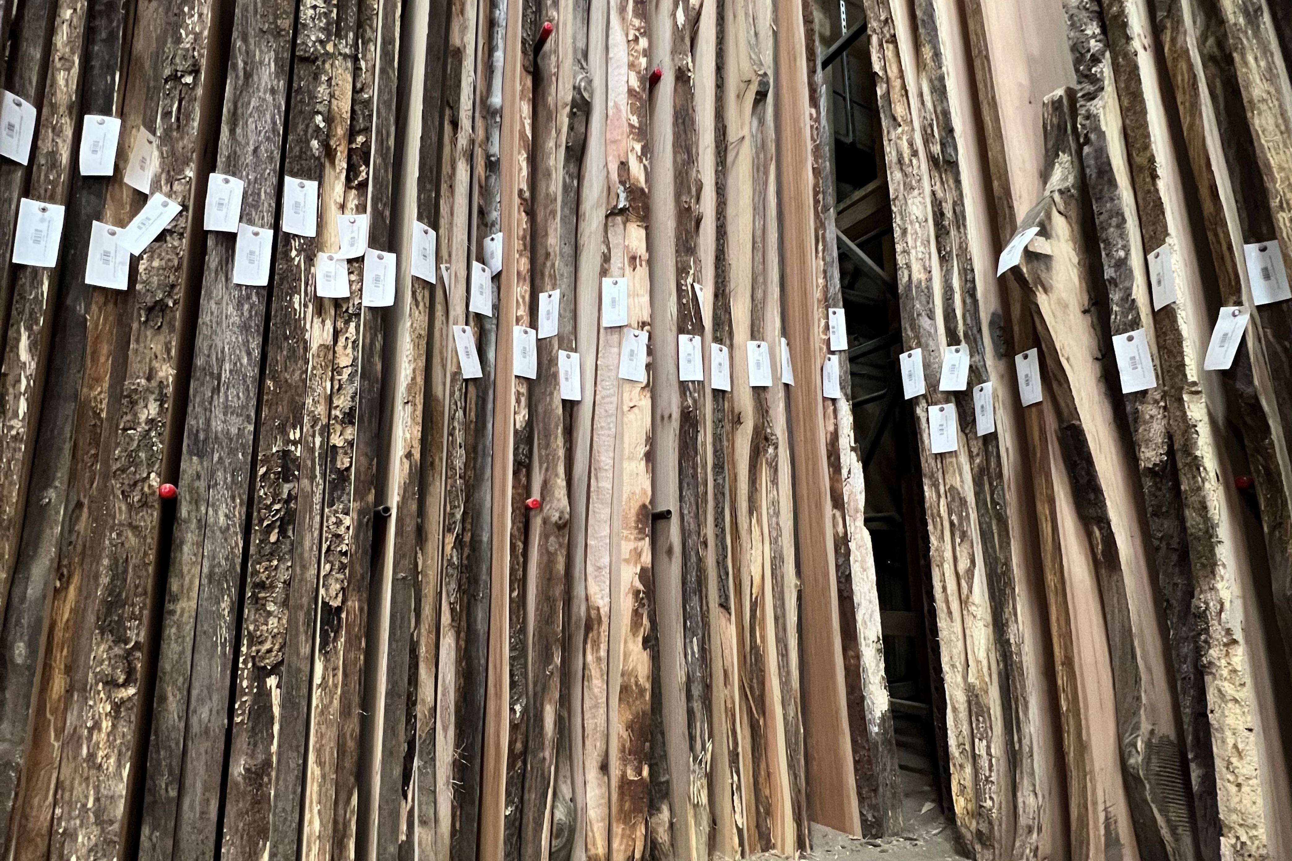 Live Edge Wood Slabs For Sale | Oak City Customs